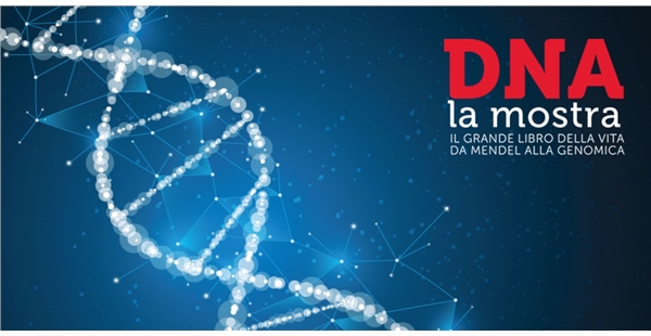 DNA. Il grande libro della vita da Mendel alla genomica | Palazzo ...
